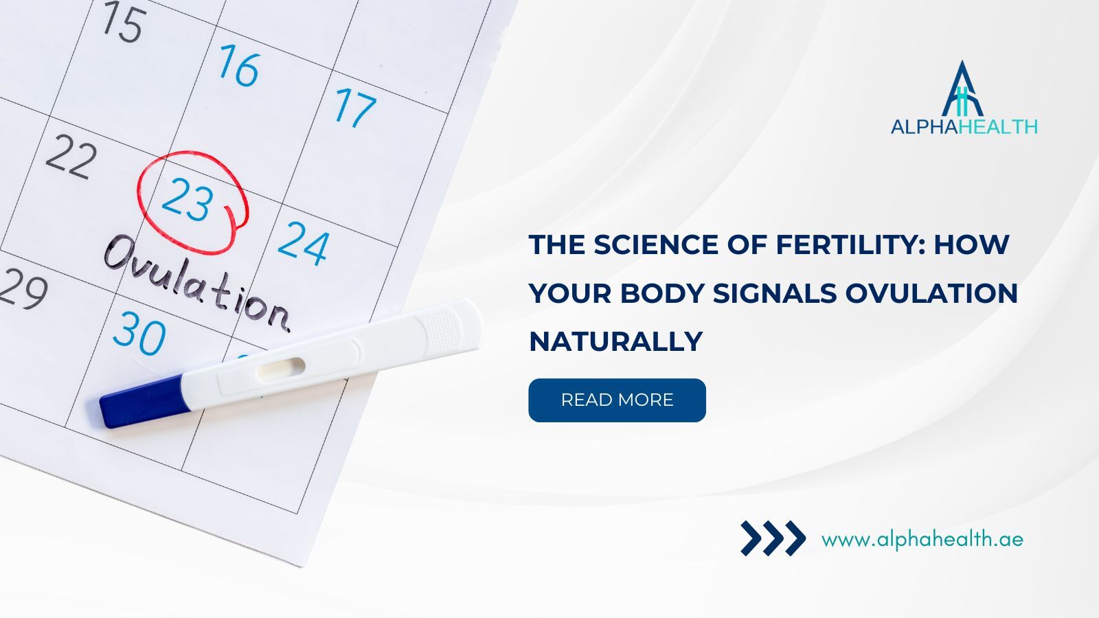 The Science of Fertility: How Your Body Signals Ovulation Naturally ...